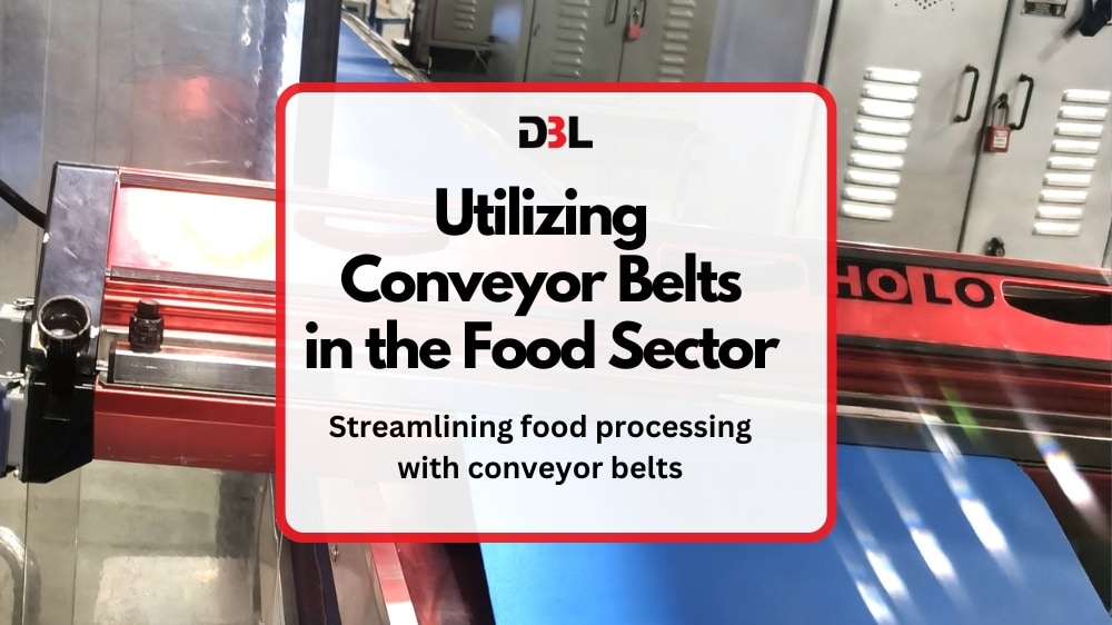 Utilizing Conveyor Belts in the Food Sector; Streamlining Food ...